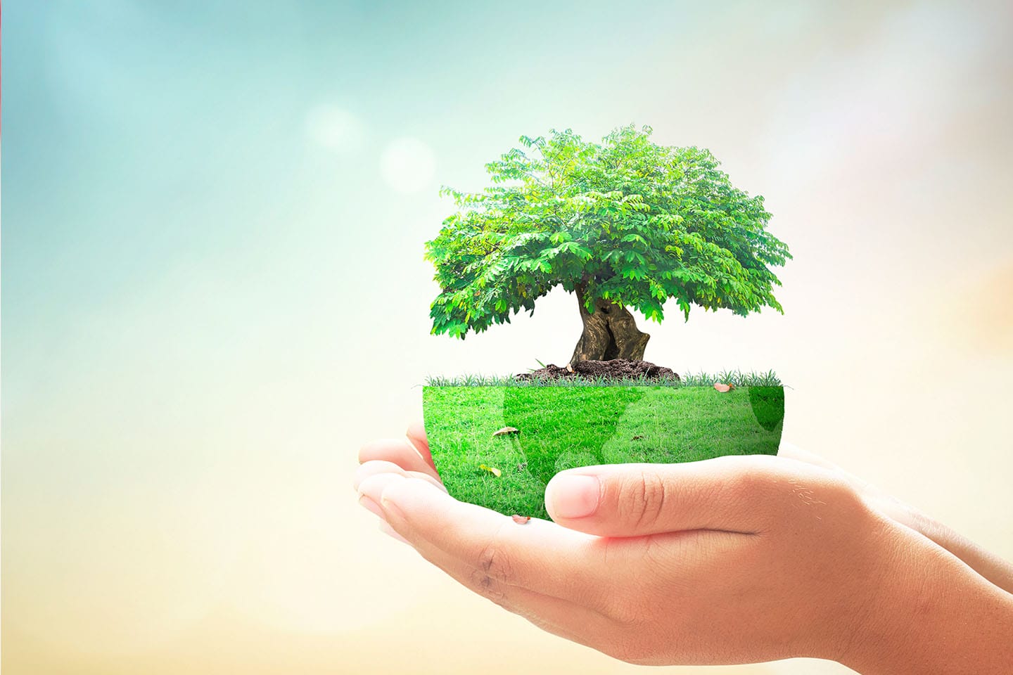 Go Green With Paperless Campaign, Benarkah Bisa Terwujud? - Uprint.id