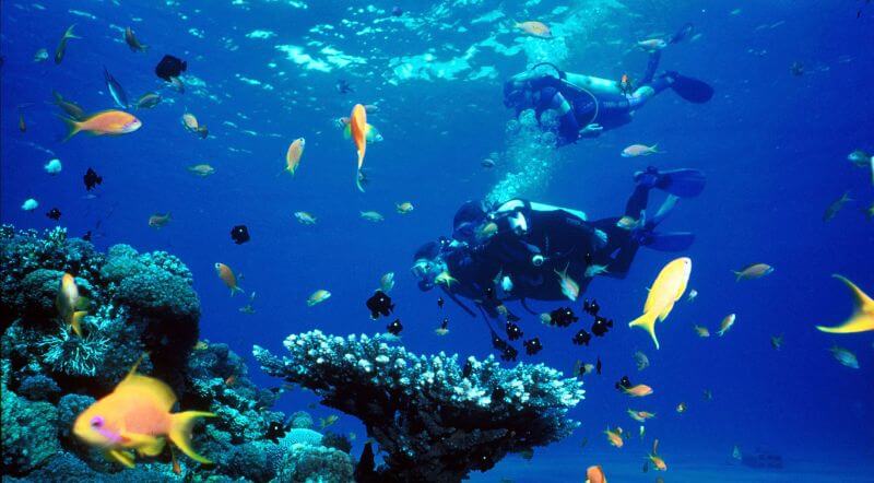 Rekomendasi Spot Diving Yang Bisa Kamu Kunjungi - Uprint.id